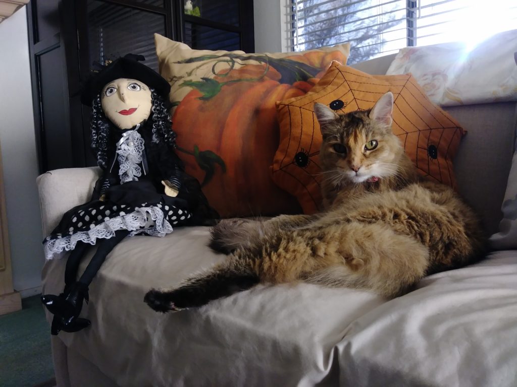 Keeping Your Pets Safe This Halloween - Caudle Vet Clinic Keeping Your Pets Safe This Halloween - Caudle Vet Clinic
